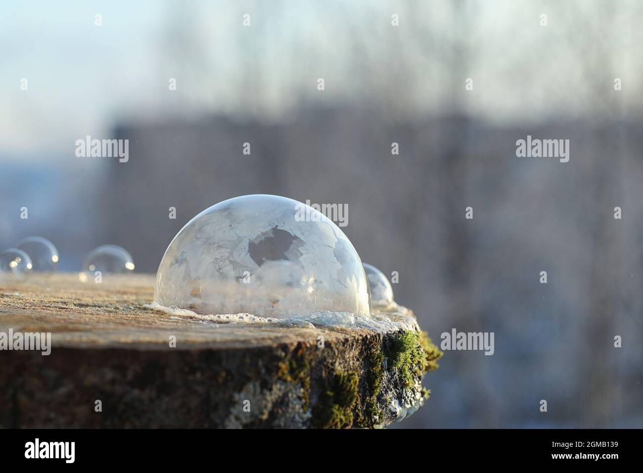 Soap bubbles freeze in the cold. Winter soapy water freezes in air ...
