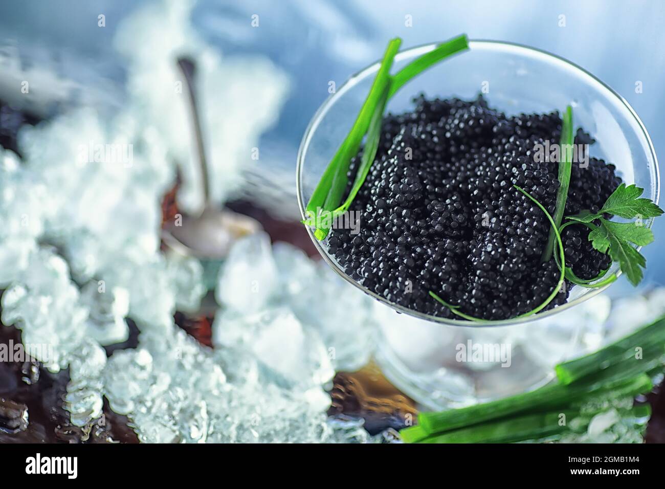 Fresh black fish roe. Beluga caviar served with ice with green Stock ...
