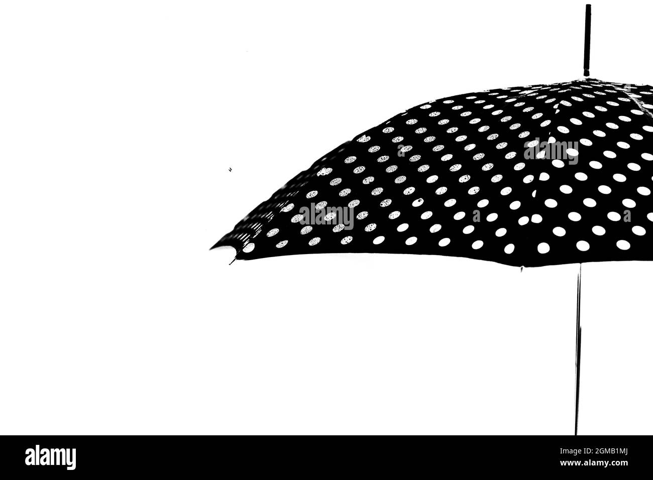 Falling raindrops isolated Cut Out Stock Images & Pictures - Alamy