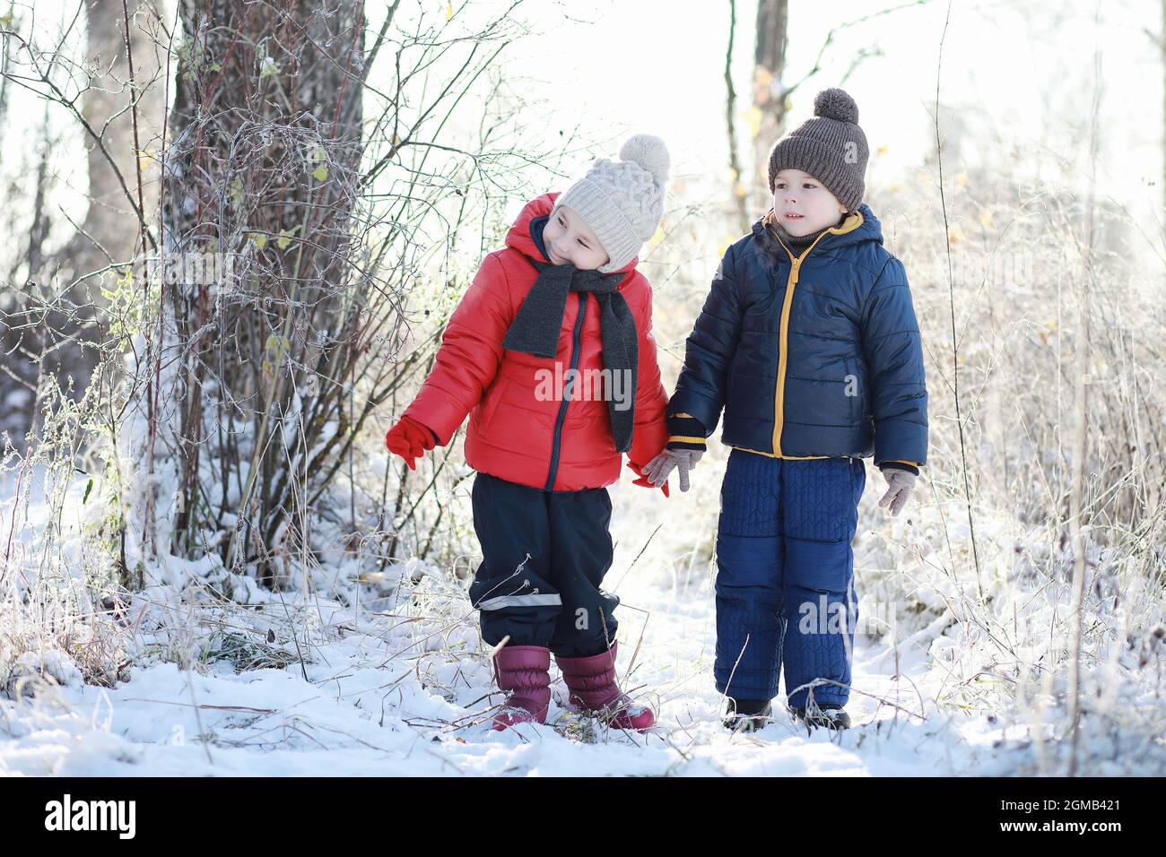 children in winter park play with snow Stock Photo - Alamy