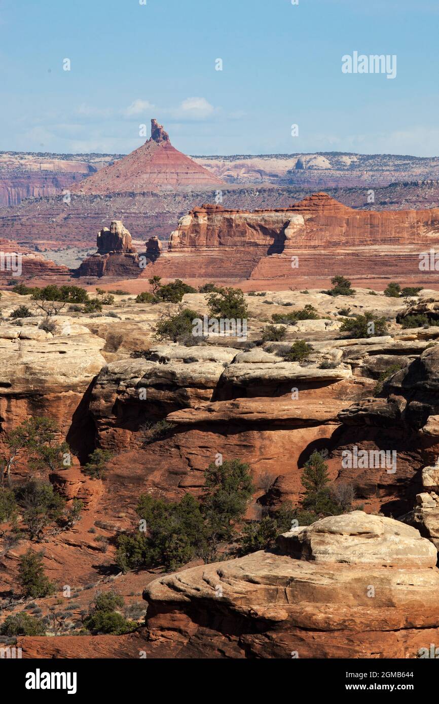 Near-horizontal Permian Cedar Mesa Sandstone and overlying Triassic ...