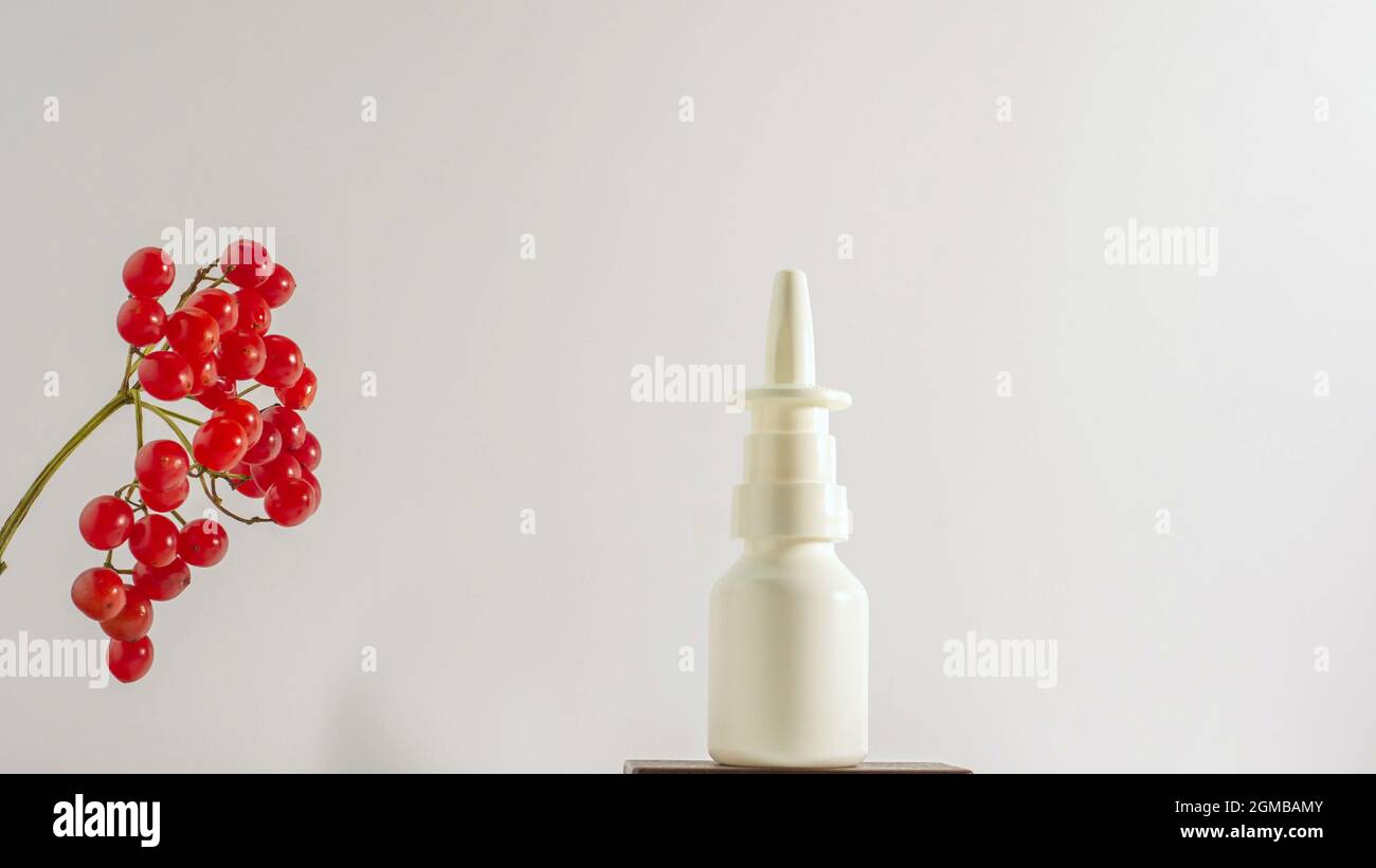 Rowan medicine on a white background copy space, a branch of red rowan ...