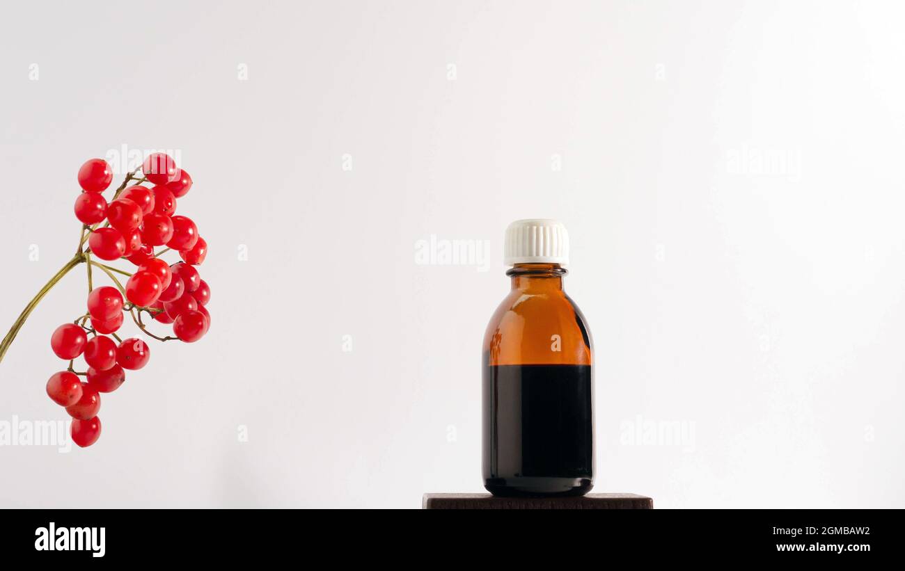 Rowan medicine on a white background copy space, a branch of red rowan ...