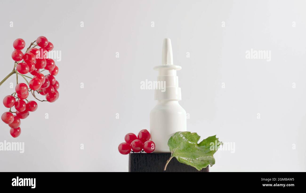 Rowan medicine on a white background copy space, a branch of red rowan ...