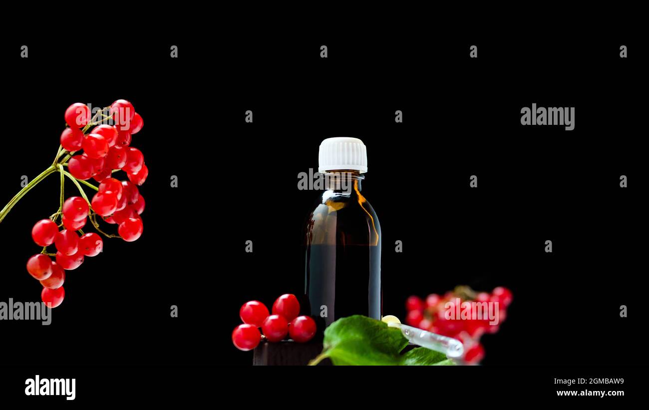 Rowan medicine on a white background copy space, a branch of red rowan ...