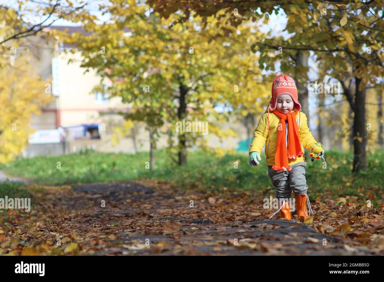 A young kids in a park walk outdoor Stock Photo - Alamy