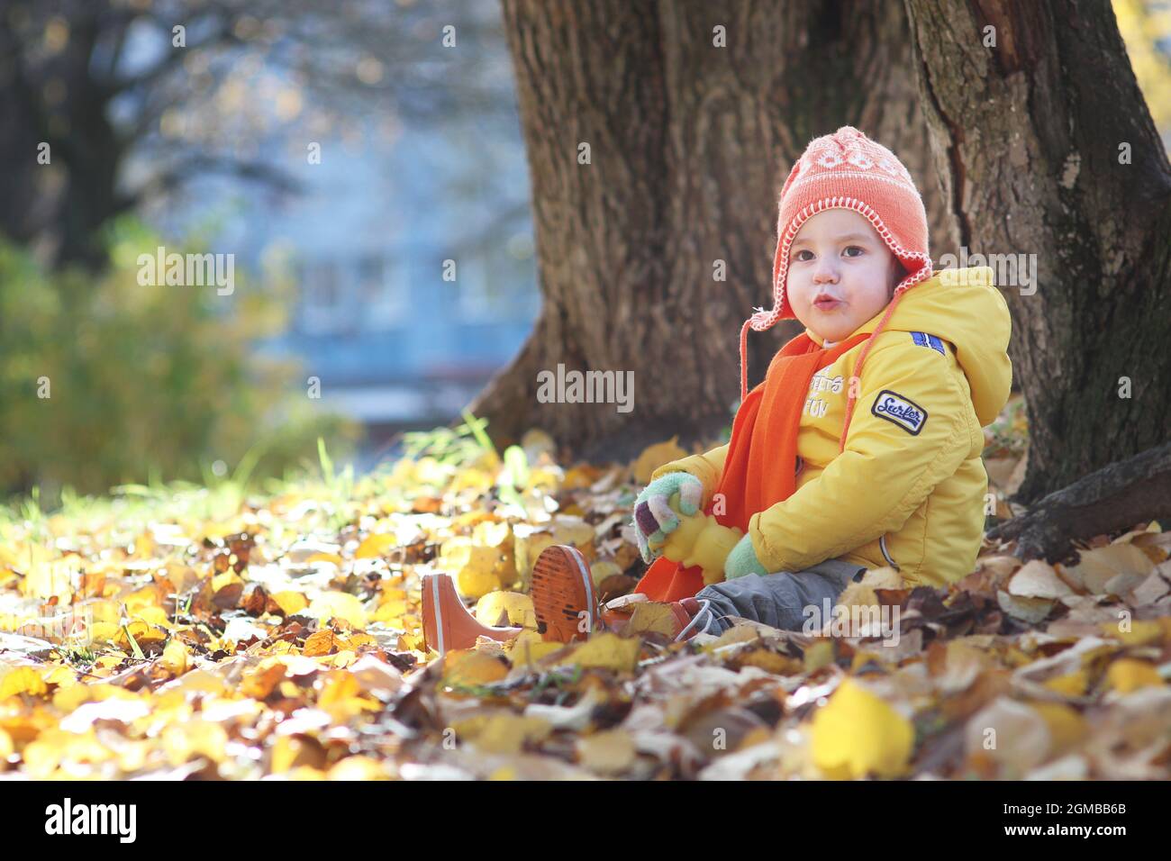 A young kids in a park walk outdoor Stock Photo - Alamy