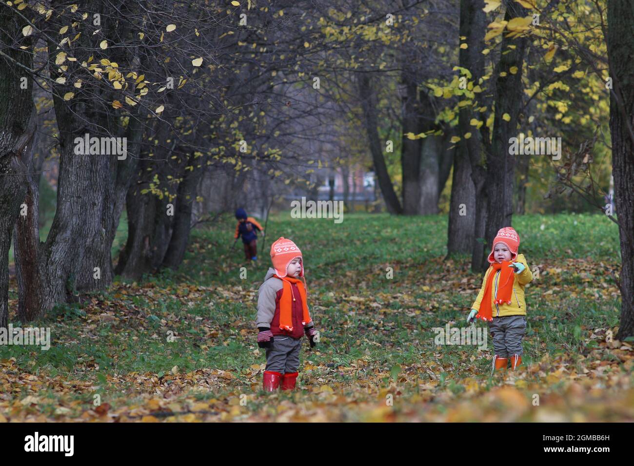 A young kids in a park walk outdoor Stock Photo - Alamy