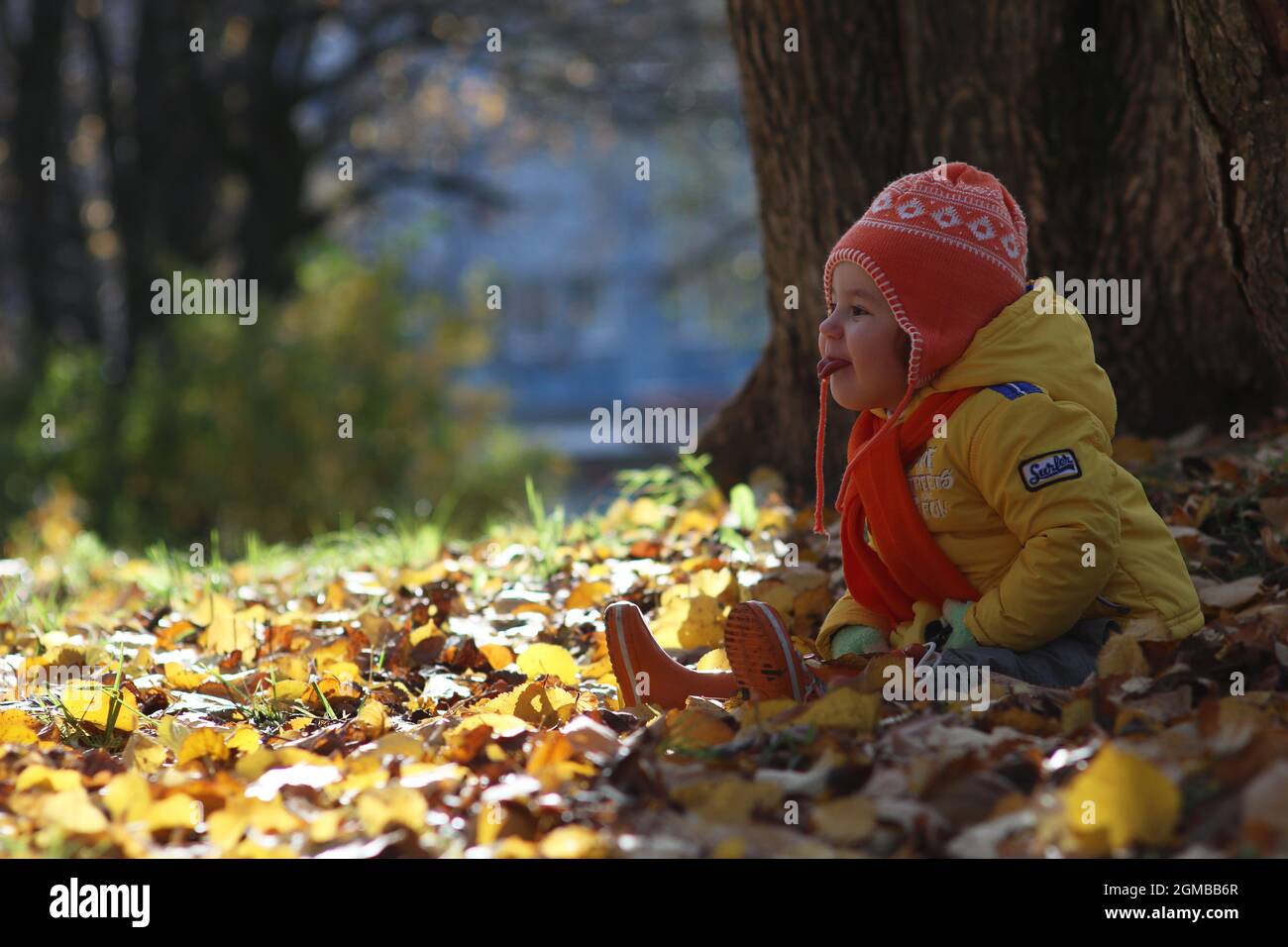 A young kids in a park walk outdoor Stock Photo - Alamy