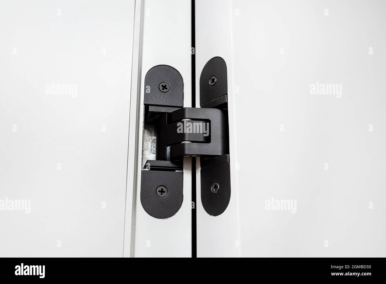 Modern white door with solid black hinges, visible fixing screws Stock ...