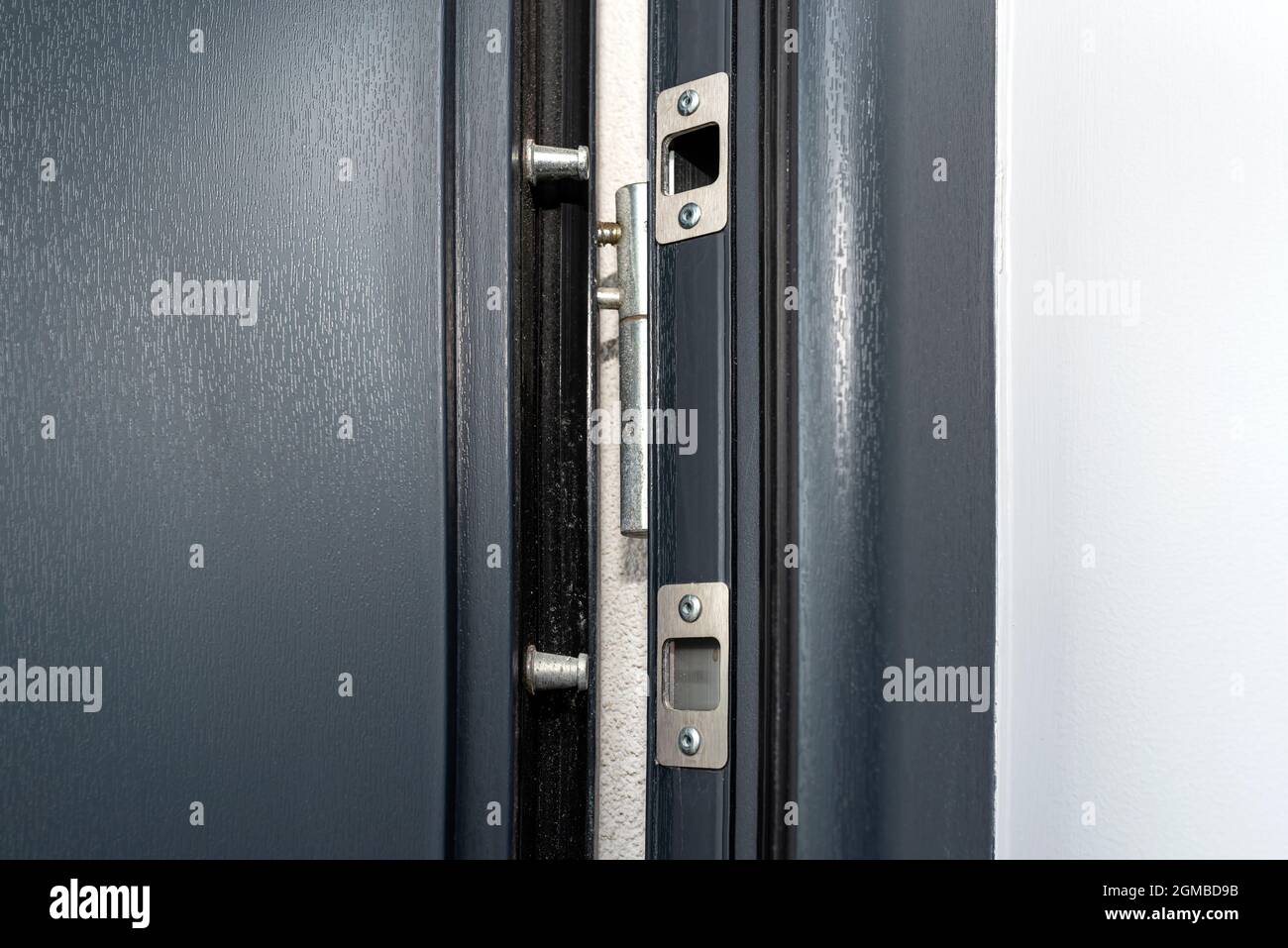 Modern anti burglary entrance door with visible hinges and bolt, in ...