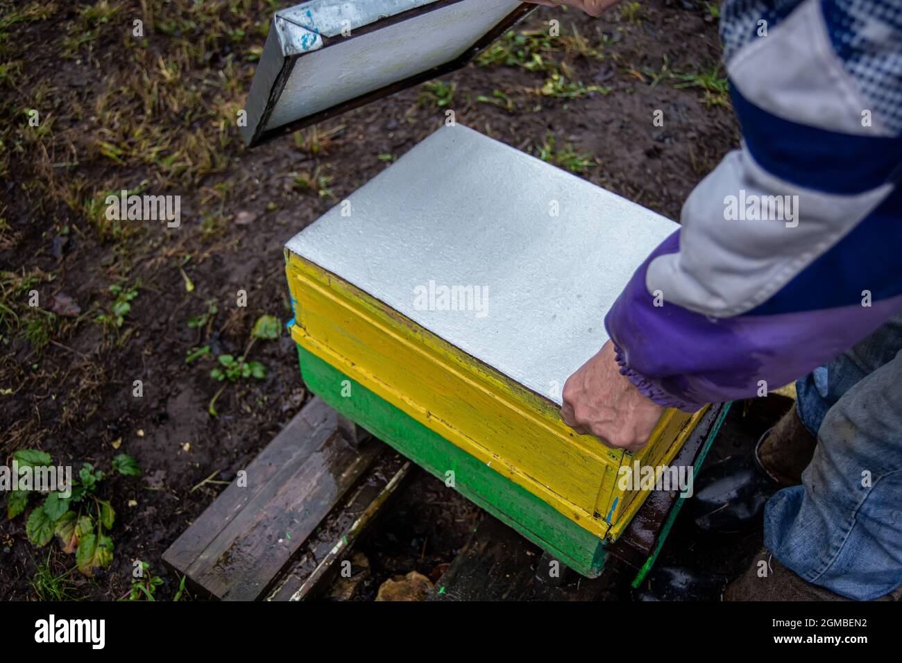 Bee hive insulation hi-res stock photography and images - Alamy