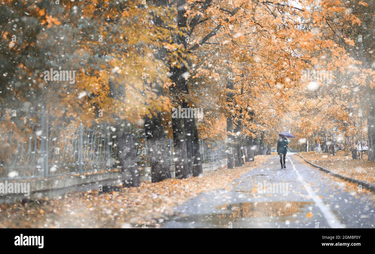 Autumn park in the days of the first snow Stock Photo - Alamy