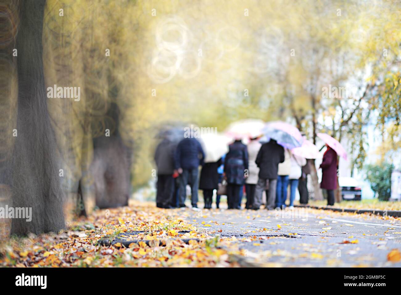 Autumn backgroun rain in the park during the day Stock Photo - Alamy