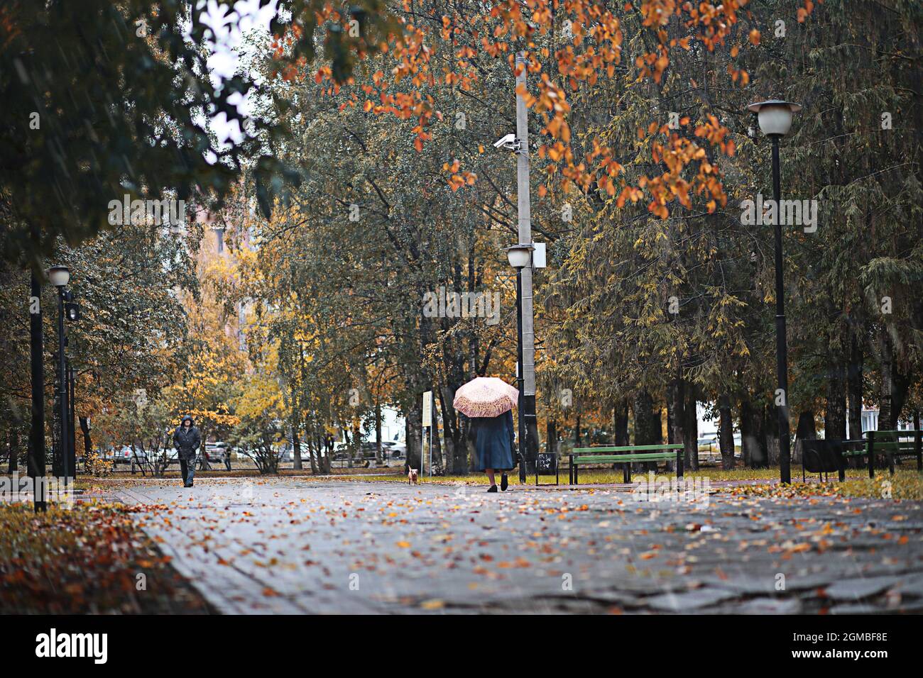 Autumn rain in the park during the day Stock Photo - Alamy