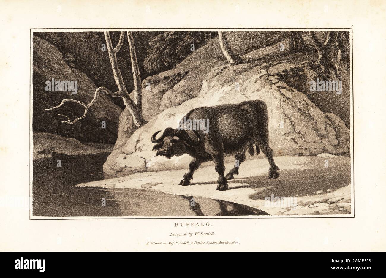 William daniell daniell hi-res stock photography and images - Alamy