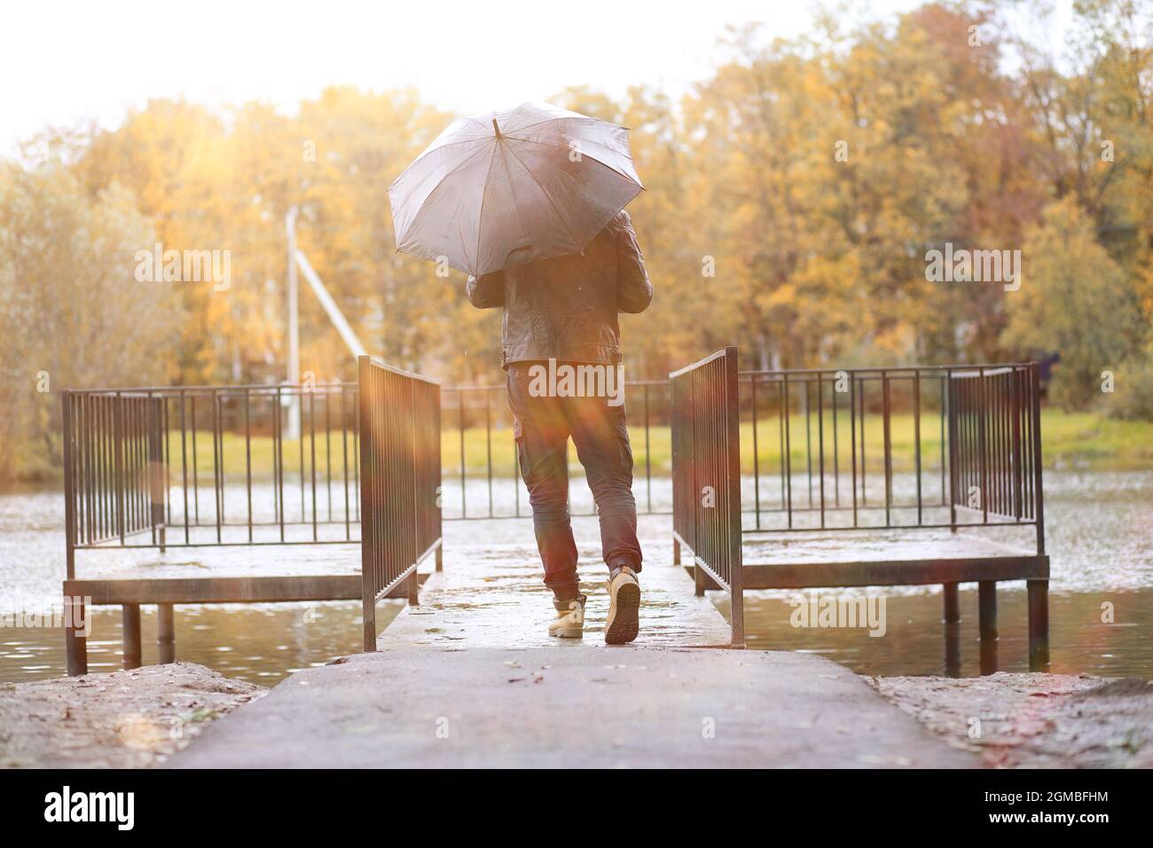 Autumn rain in the park during the day Stock Photo - Alamy
