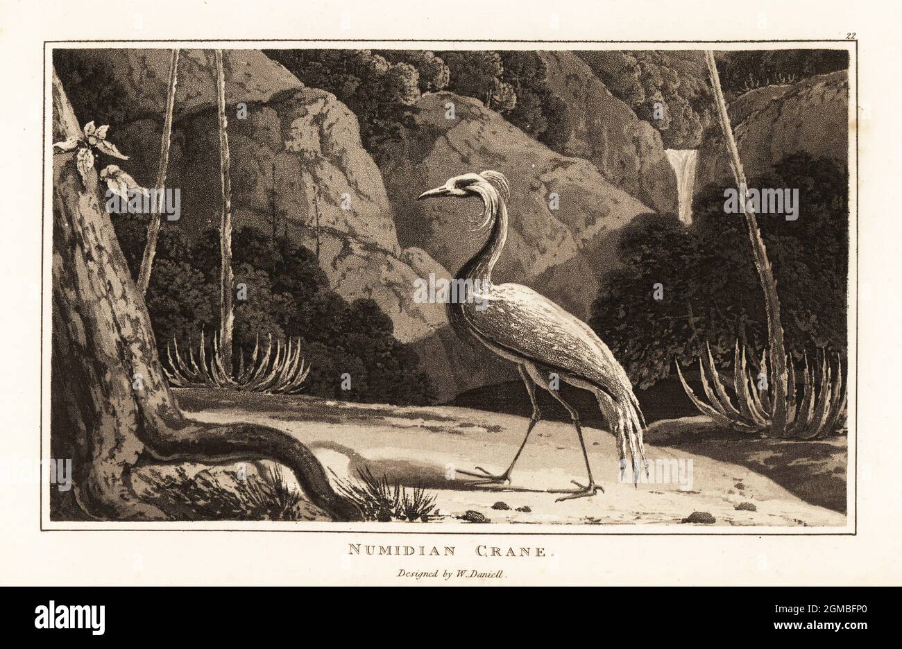 William waterfall hi-res stock photography and images - Alamy