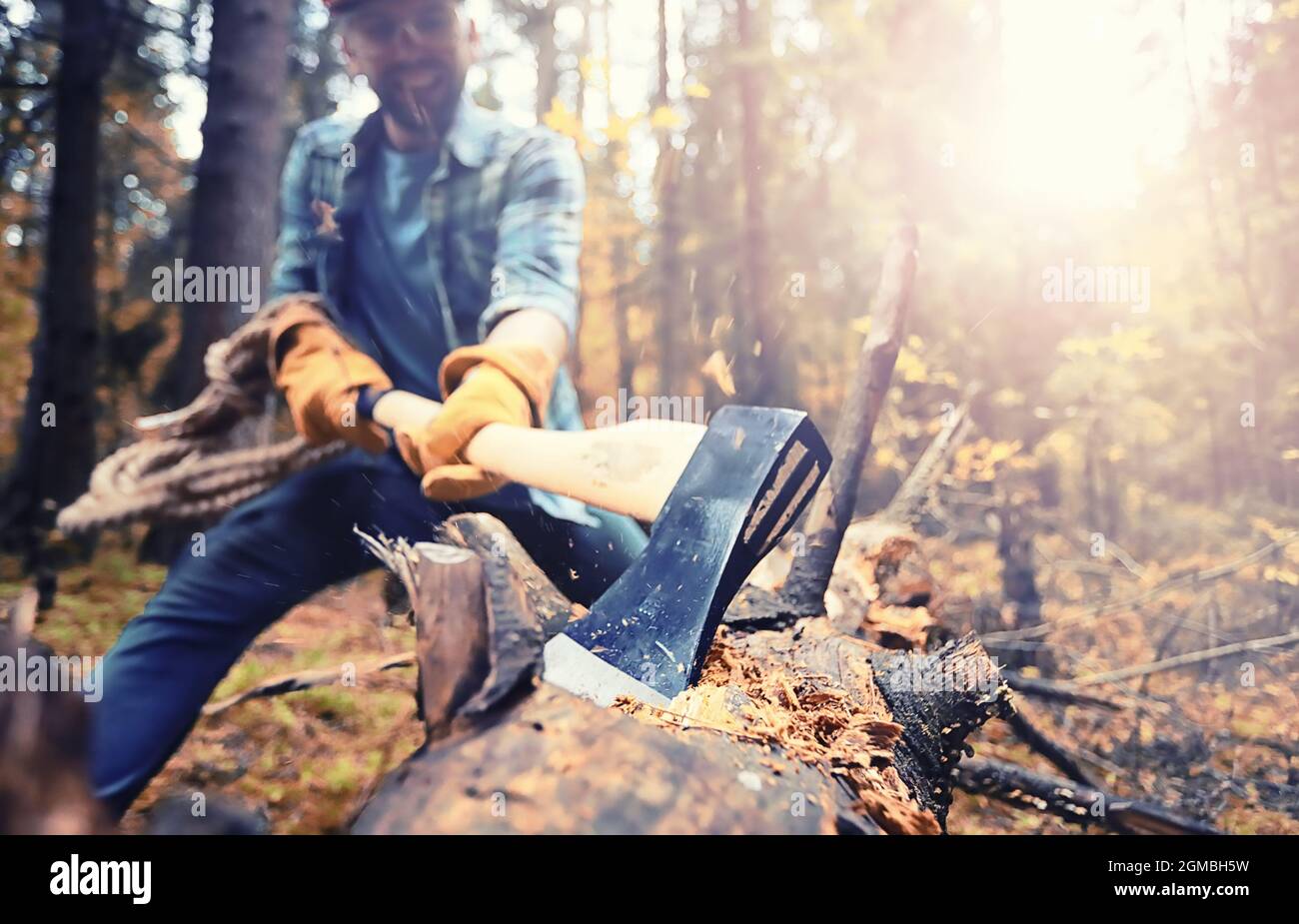 Male worker with ax chopping a tree in the forest Stock Photo - Alamy