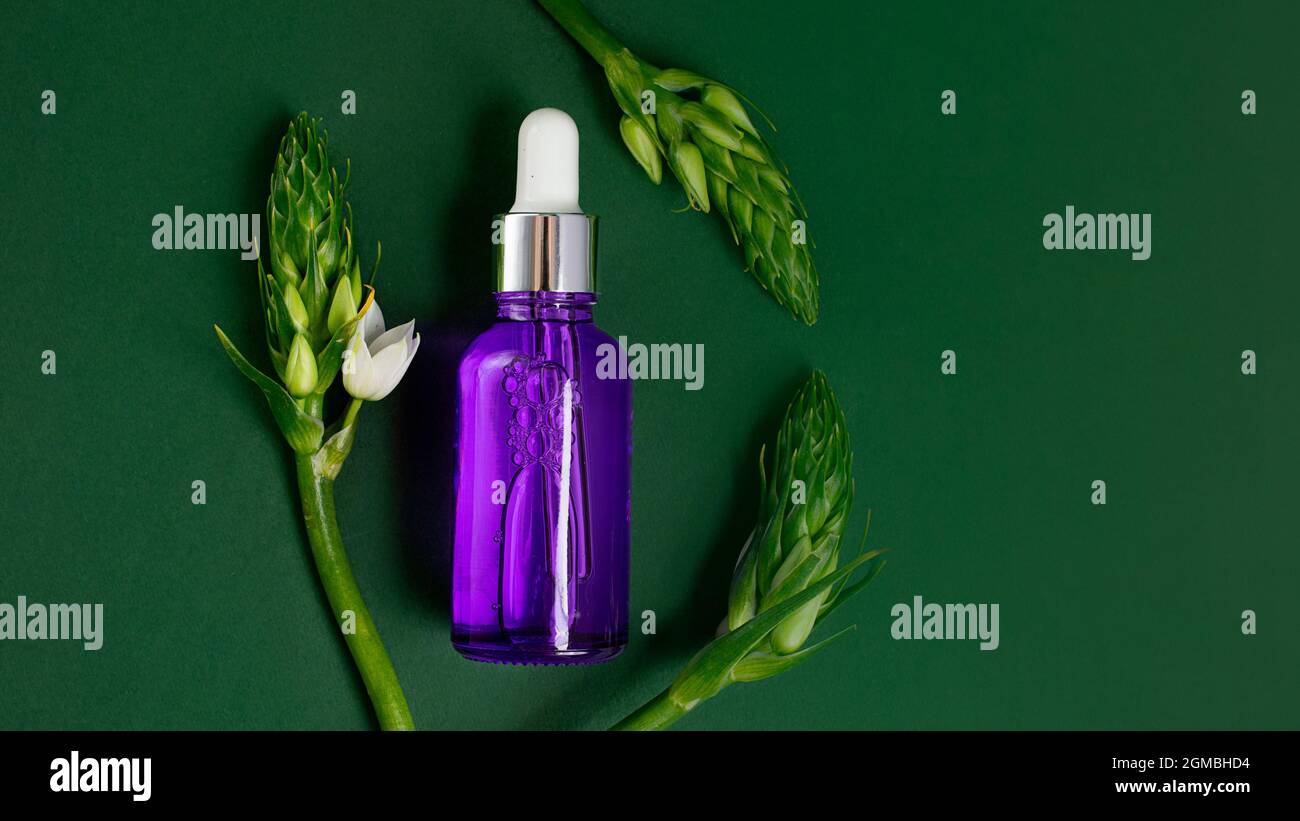 Violet cosmetics bottle on the green background.Foliage with white ...