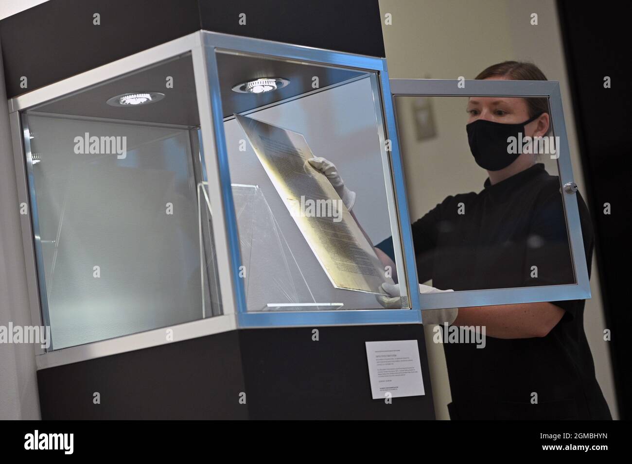 Original Constitution In Case