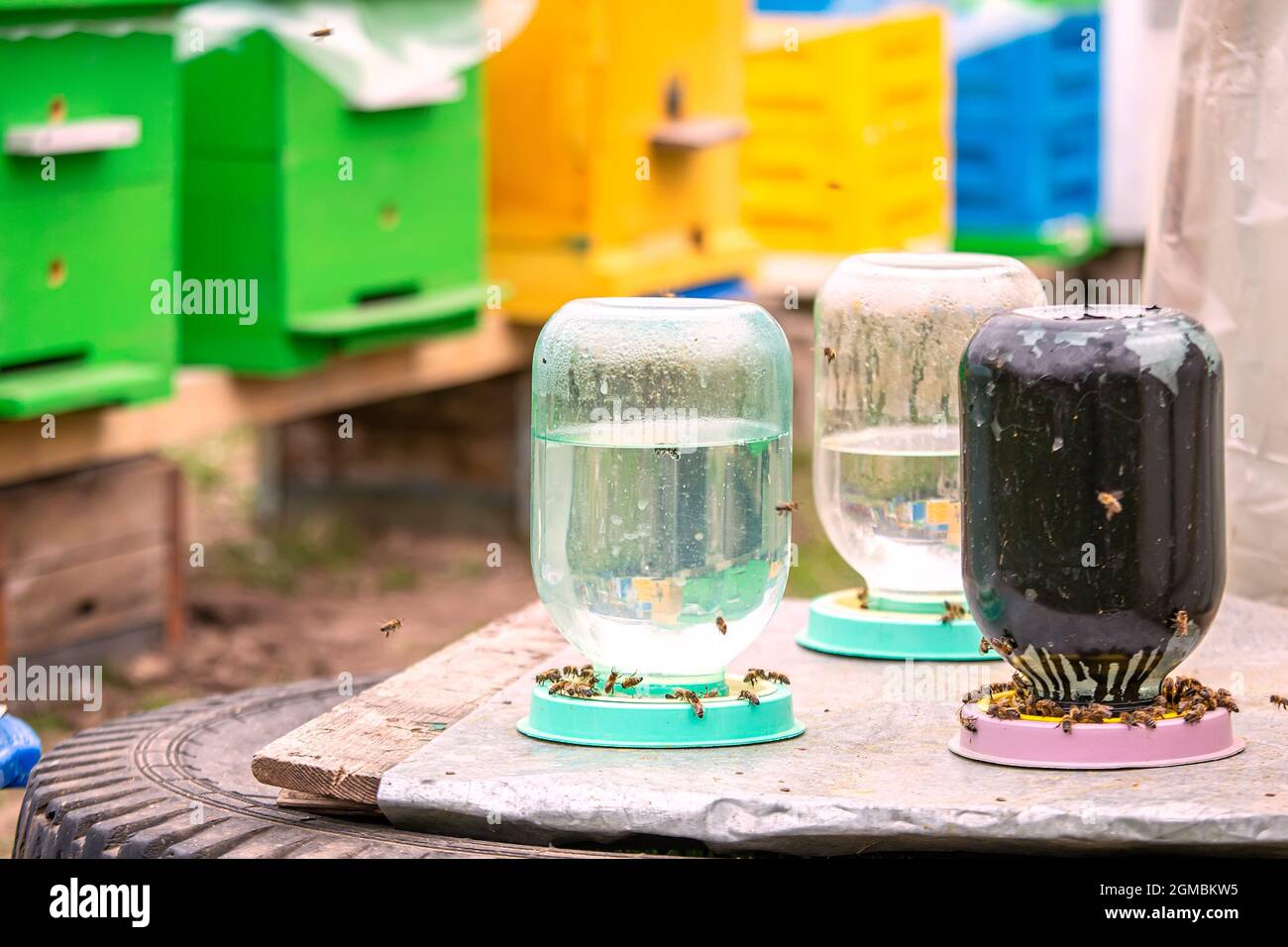 Drinker for bees. A three-liter lance with water for honey bees ...