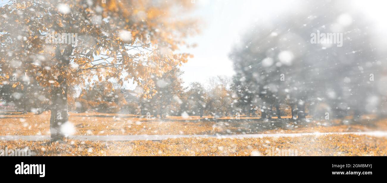 Background autumn park in the days of the first snow Stock Photo - Alamy