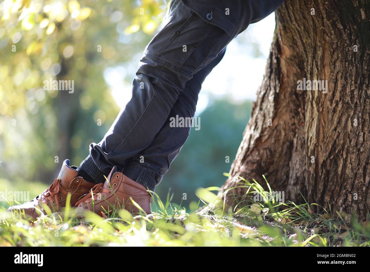 Autumn Park man walking along a path foliage Stock Photo - Alamy