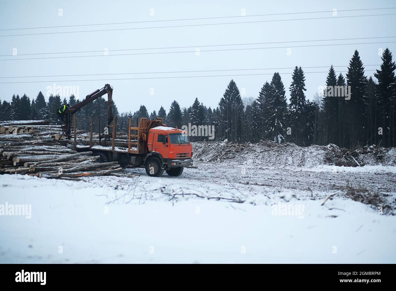 A lorry transports logs in the back. Timber truck Stock Photo - Alamy