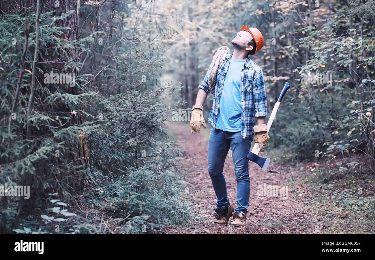 Male lumberjack in the forest. Professional woodcutter inspects trees ...