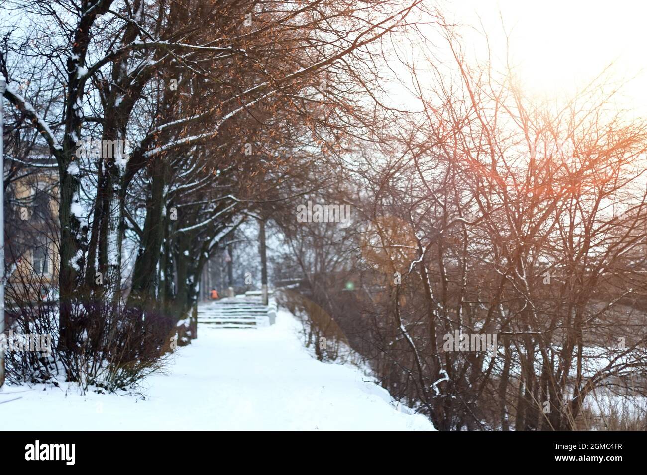 alley pathway park winter Stock Photo - Alamy