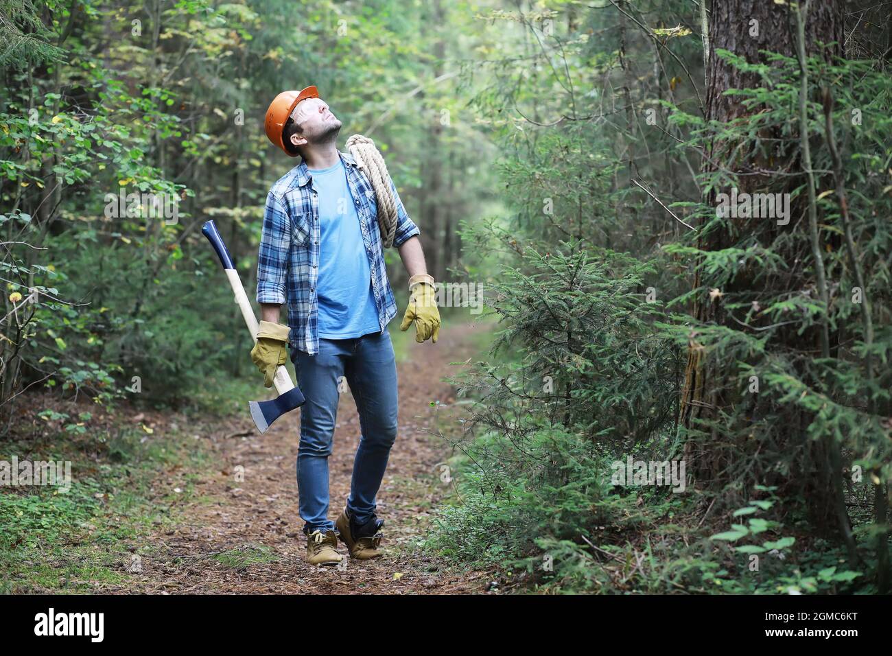 Male lumberjack in the forest. Professional woodcutter inspects trees ...