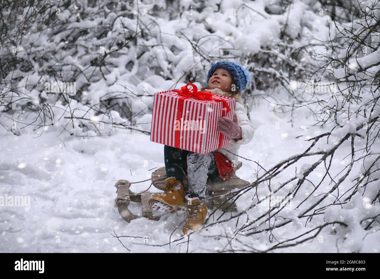 Winter fairy tale, a young mother and her daughter ride a sled in the ...