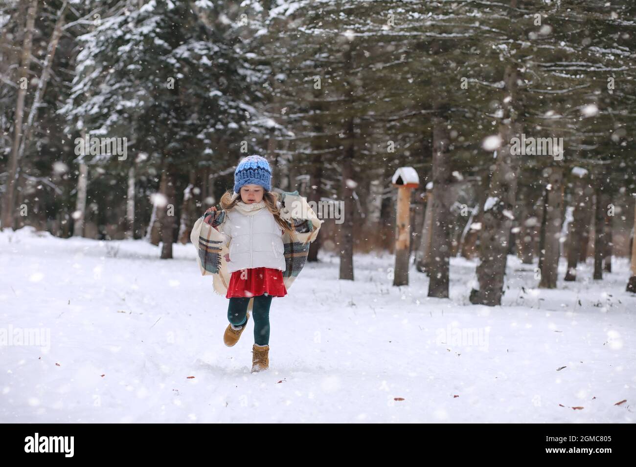 Winter fairy tale, a young mother and her daughter ride a sled in the ...