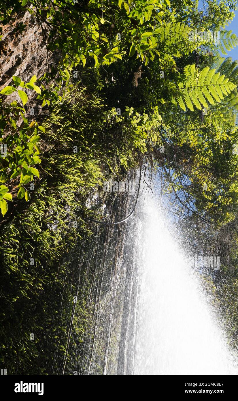 waterfall from different perspective, from side and below, with fern in ...