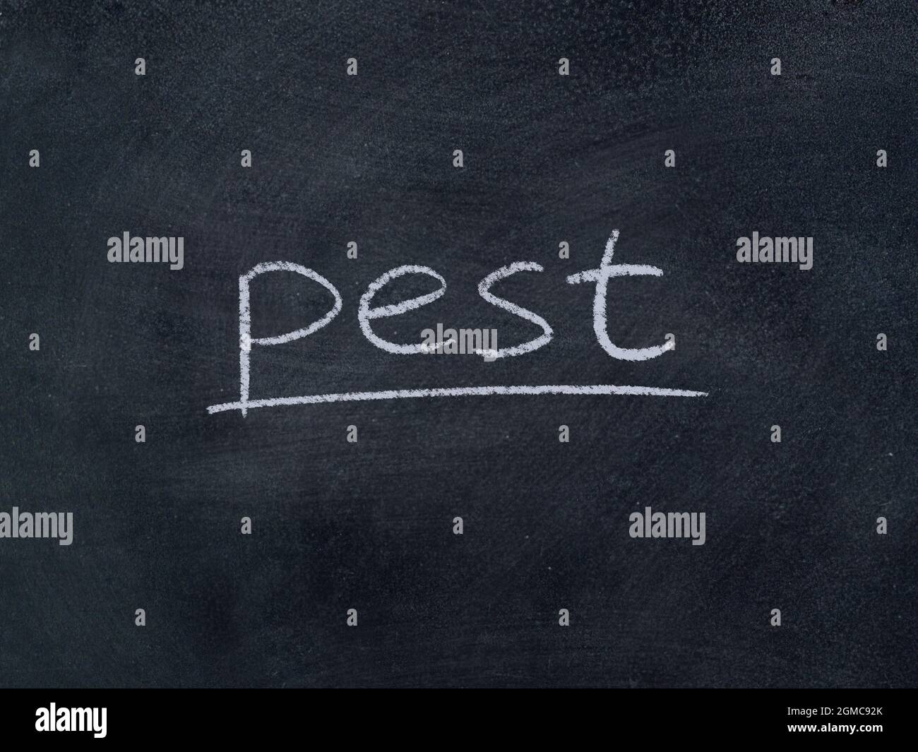 pest concept word on blackboard background Stock Photo - Alamy