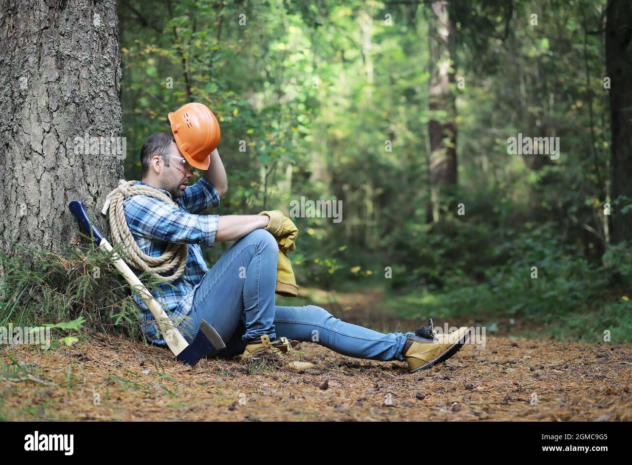 Male lumberjack in the forest. Professional woodcutter inspects trees ...