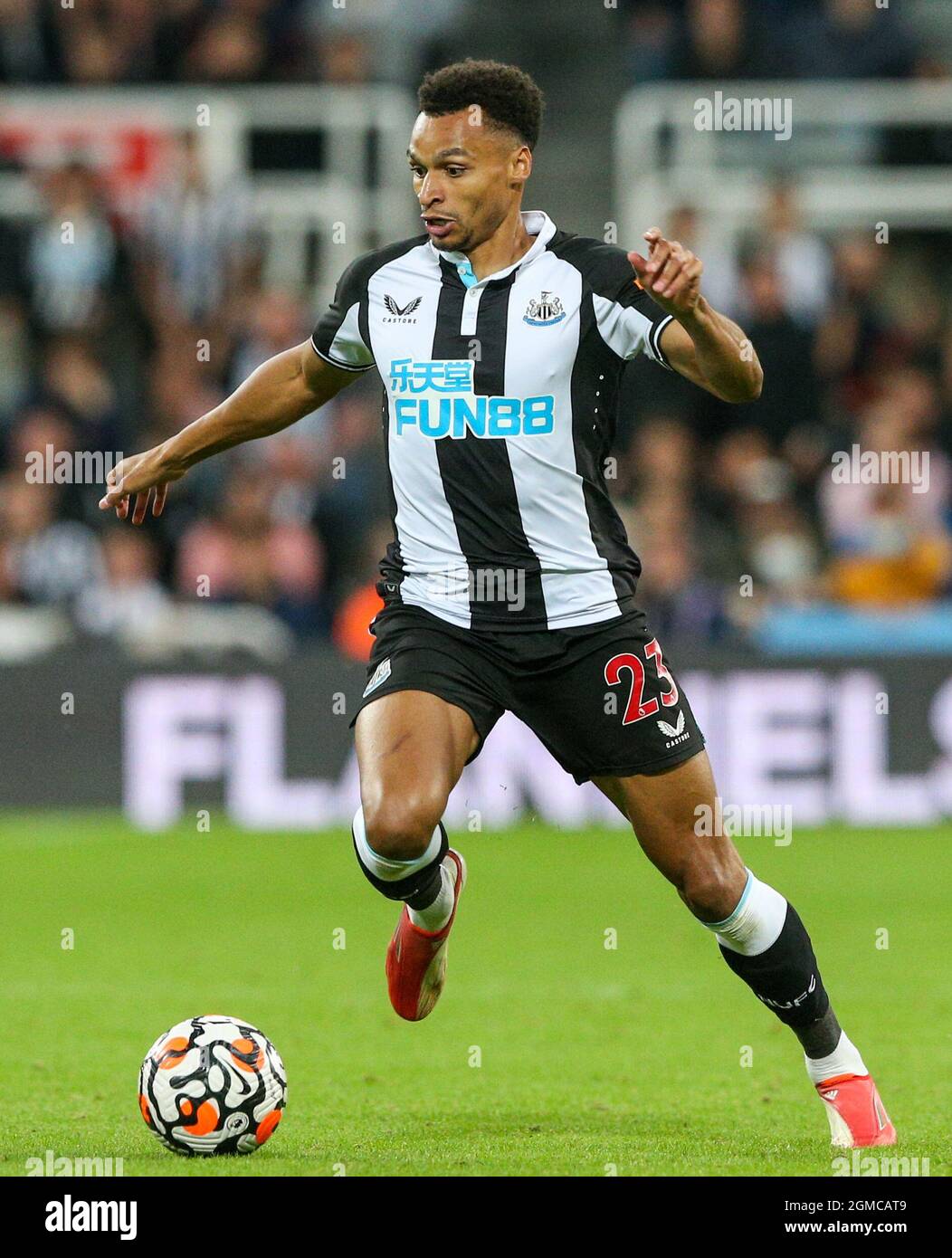 Alex murphy newcastle united hi-res stock photography and images - Alamy
