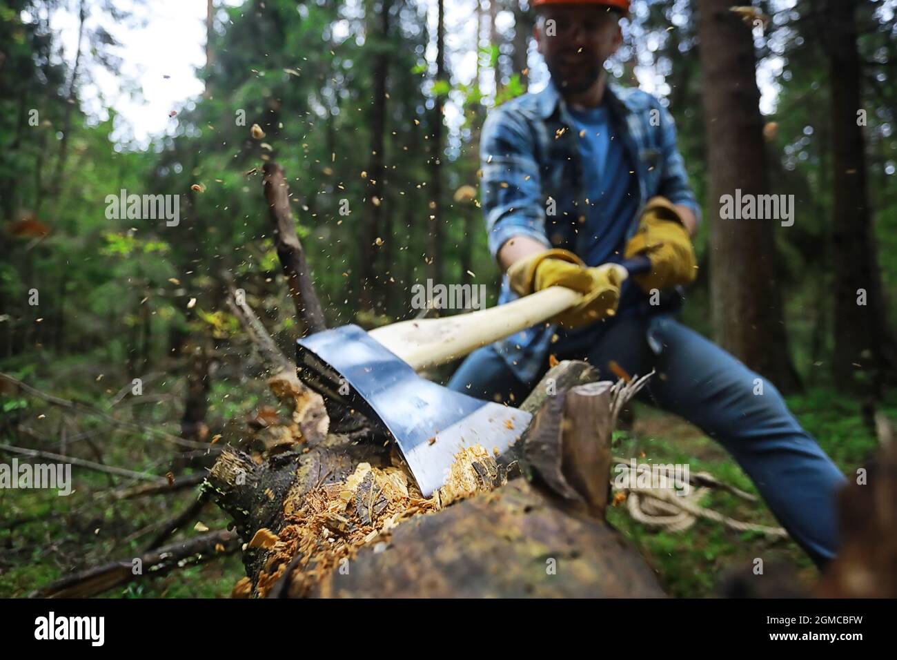 Male worker with ax chopping a tree in the forest Stock Photo - Alamy