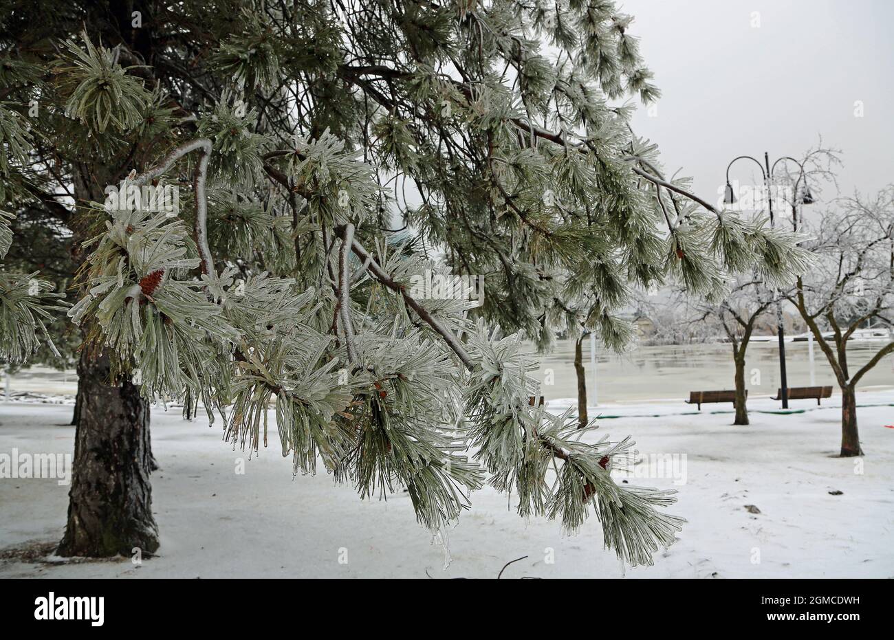 Freezing rain hi-res stock photography and images - Alamy