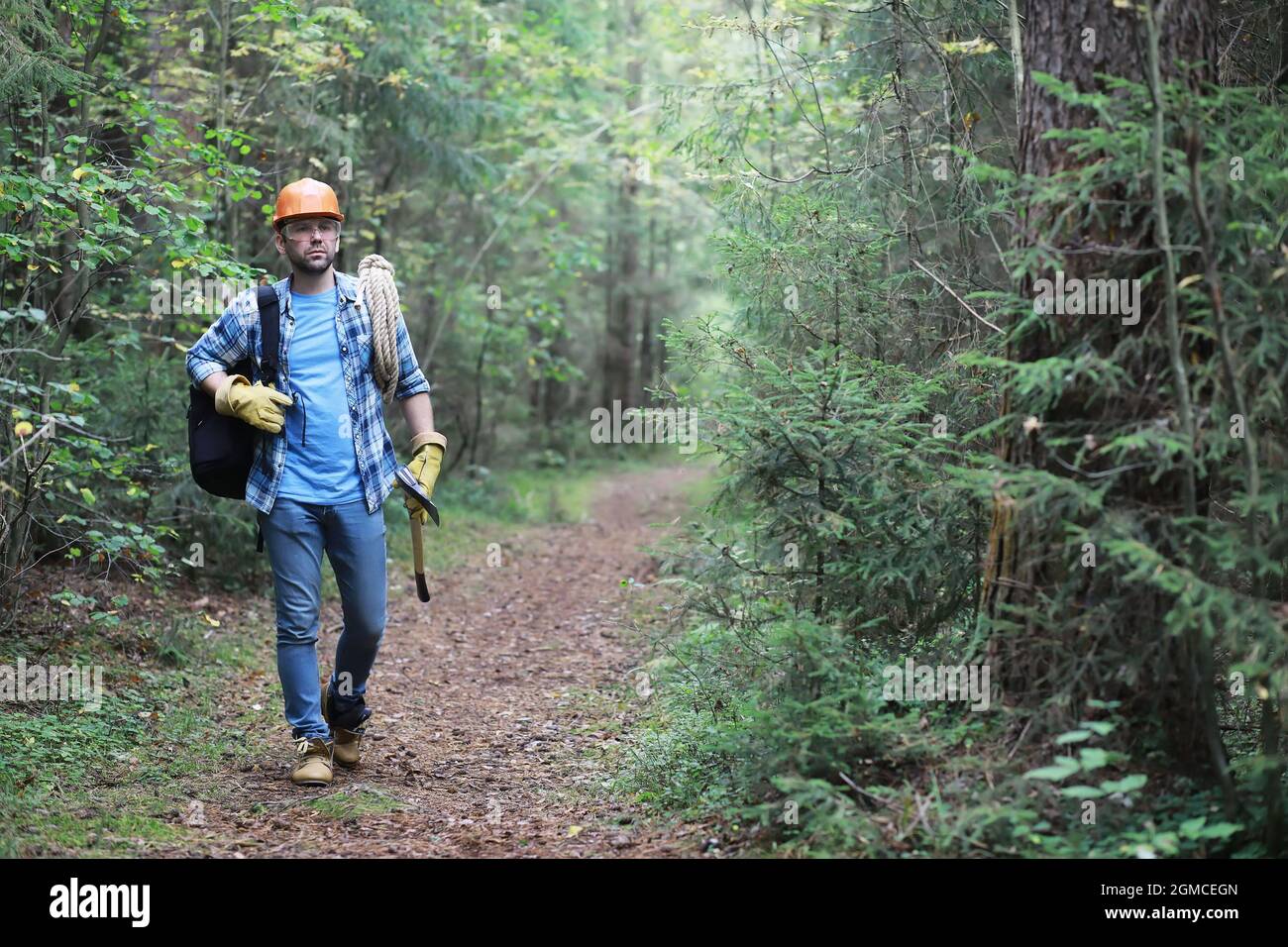 Male lumberjack in the forest. Professional woodcutter inspects trees ...