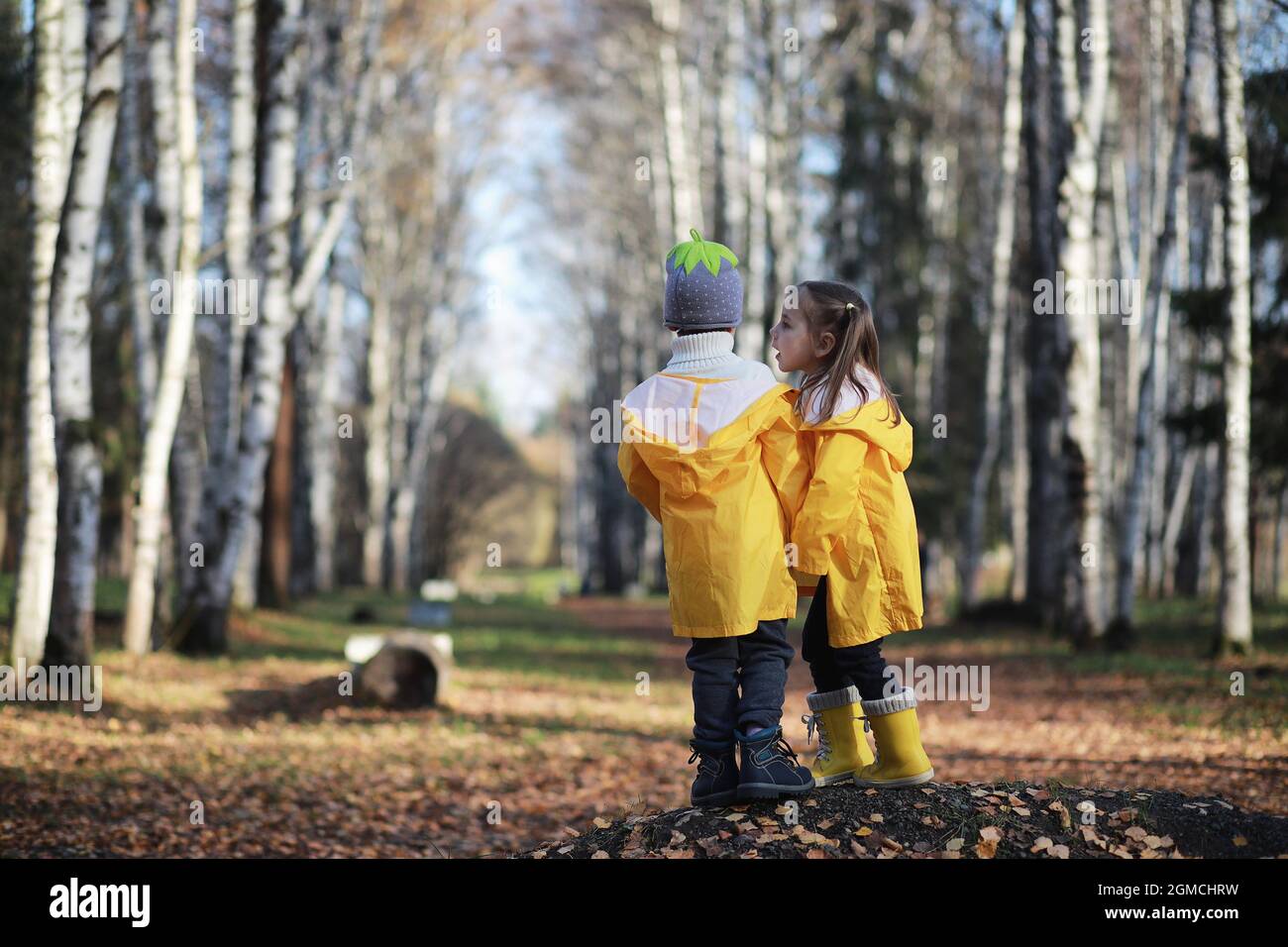 Children walk in the autumn park in the fall Stock Photo - Alamy