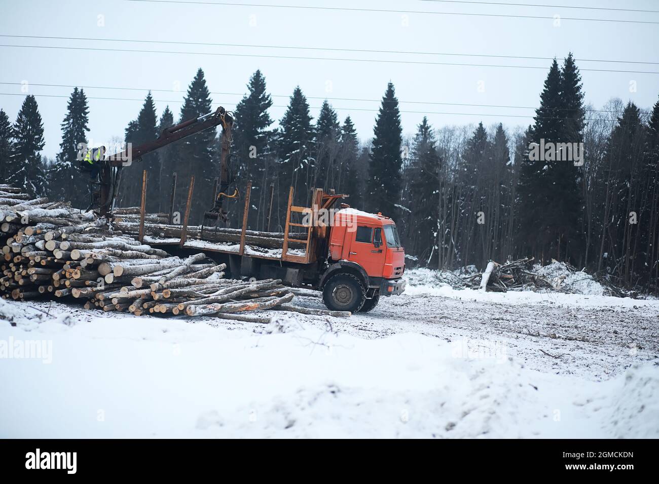 A lorry transports logs in the back. Timber truck Stock Photo - Alamy