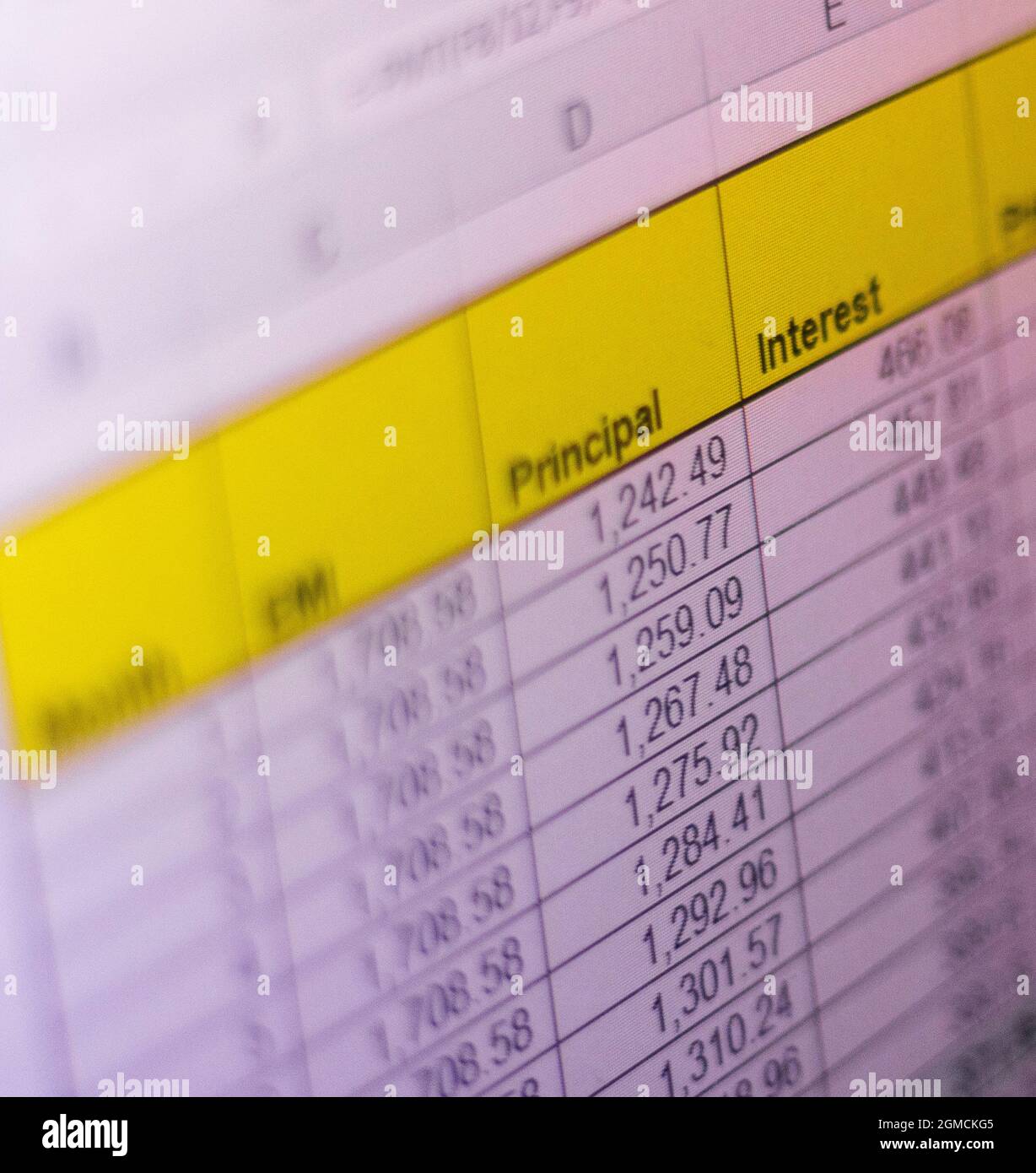 Shot of an excel sheet on computer screen showing bank loan ...