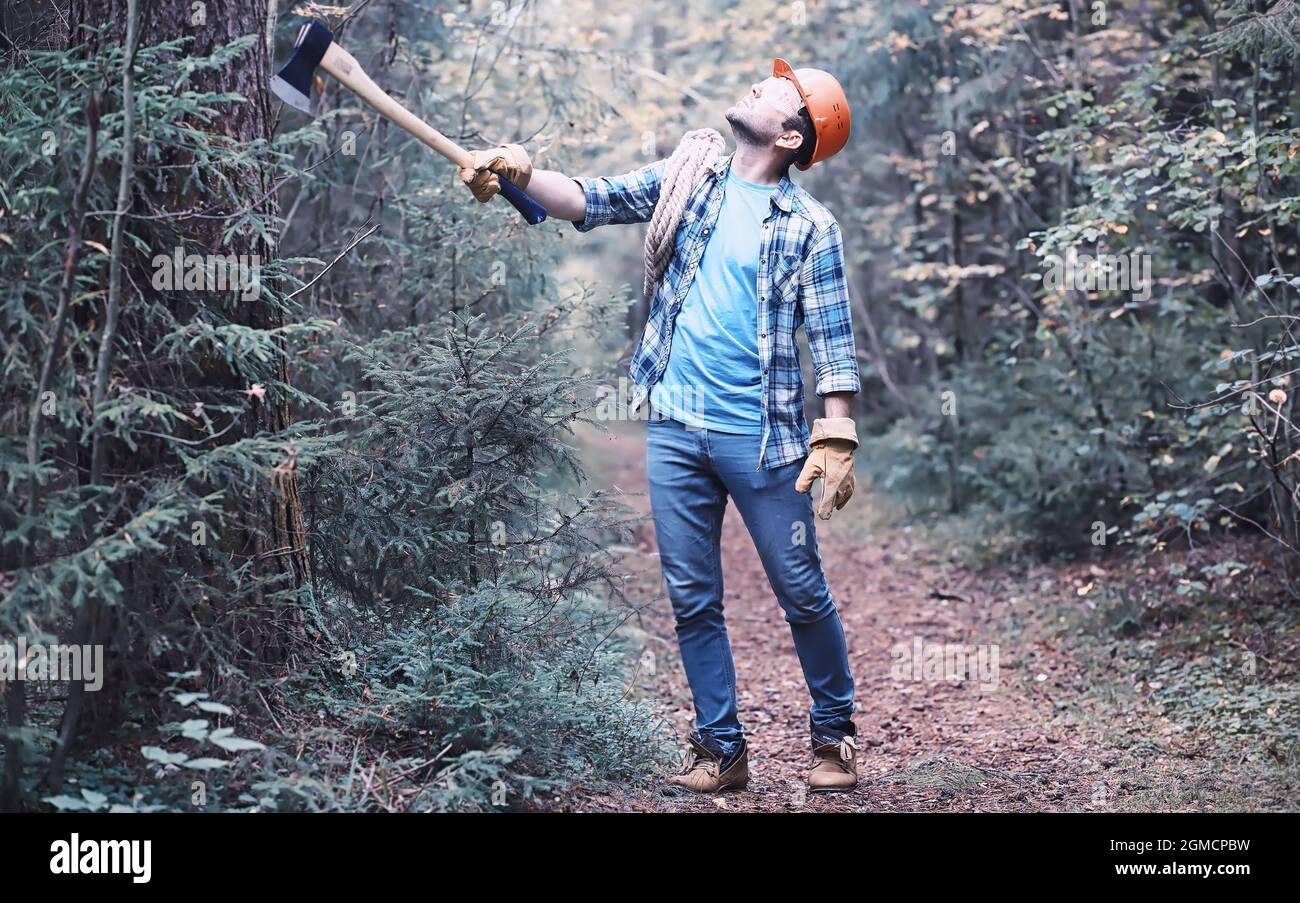 Male lumberjack in the forest. Professional woodcutter inspects trees ...