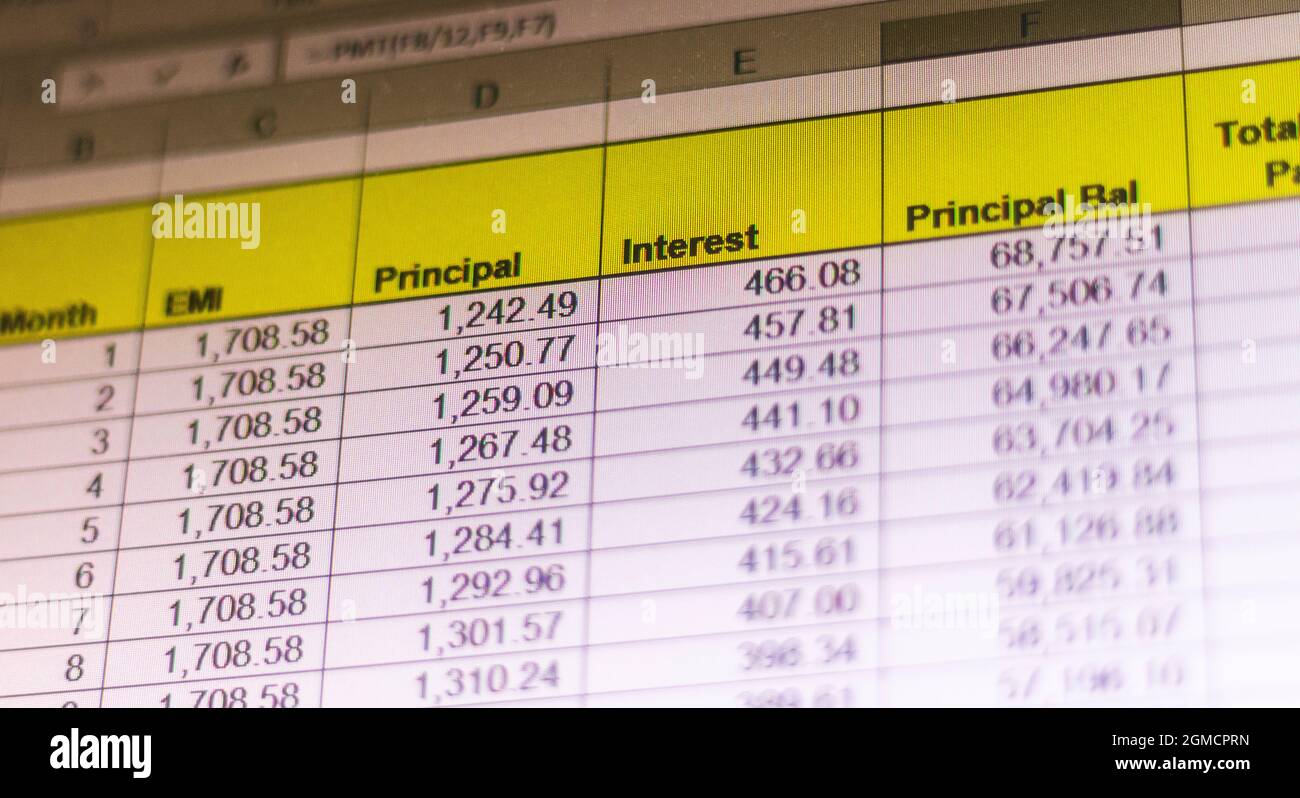 Shot of an excel sheet on computer screen showing bank loan ...