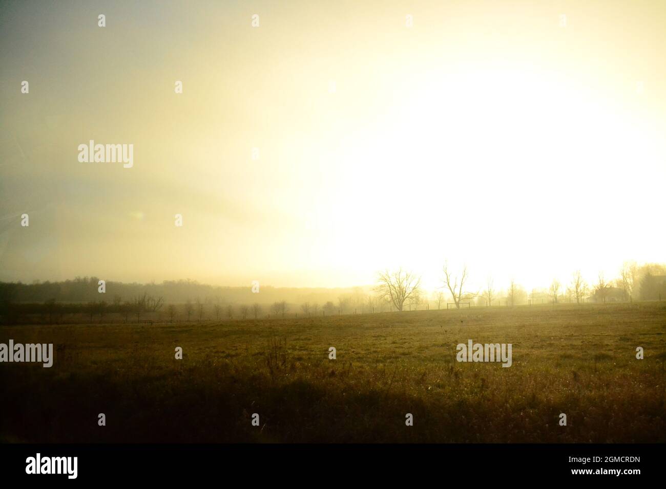 Eerie fog hi-res stock photography and images - Alamy