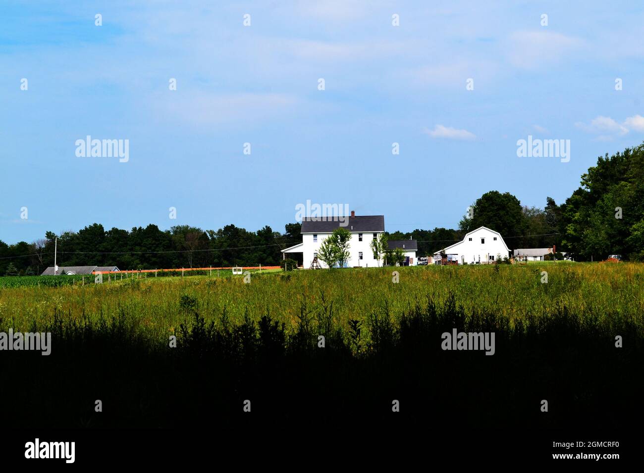 Overgrown farm house hi-res stock photography and images - Alamy