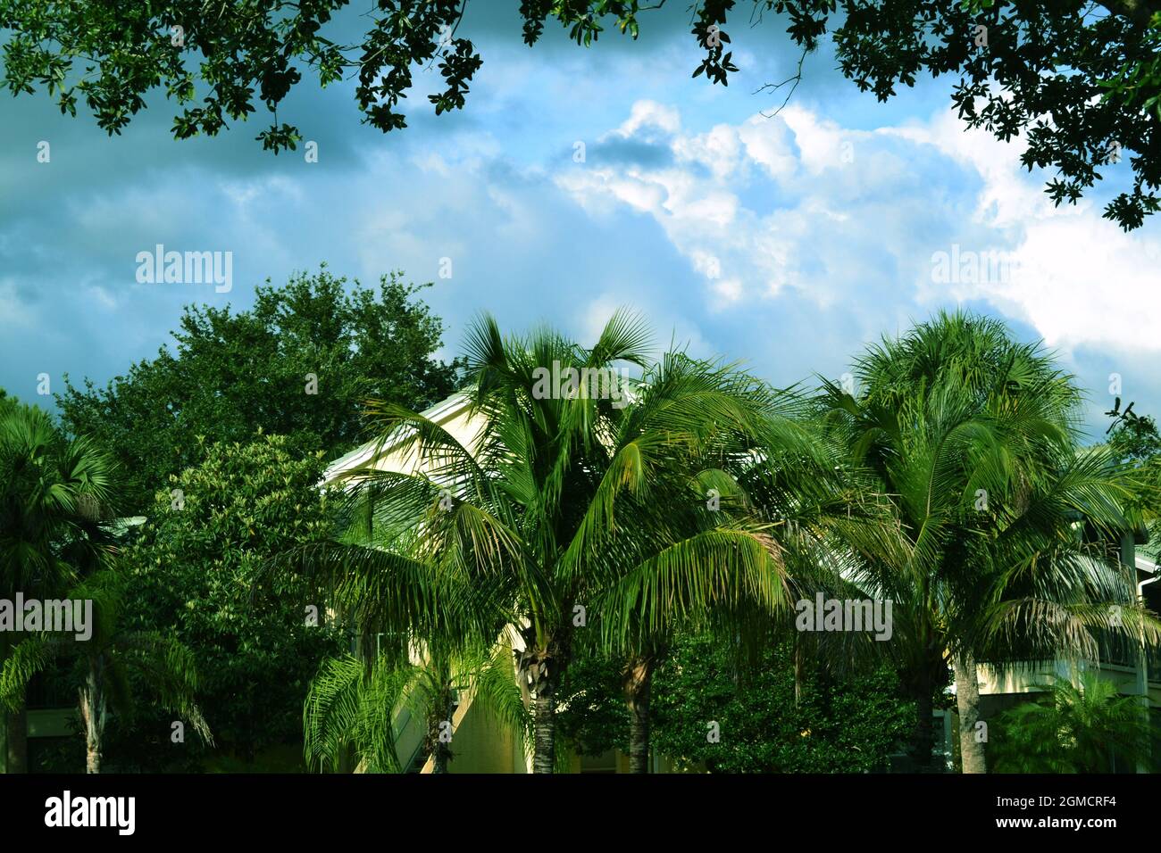 Florida clouds hi-res stock photography and images - Alamy