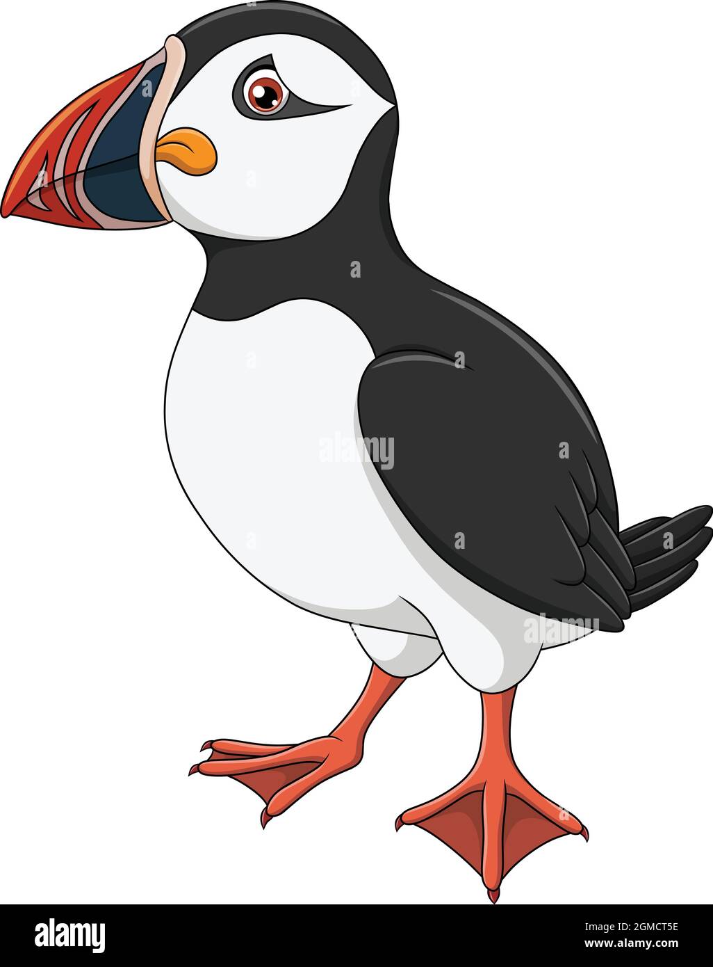 Cute Atlantic Puffin cartoon vector illustration Stock Vector Image ...